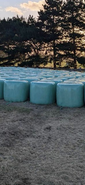 Barley Silage bales hay | Pet Products | Gumtree Australia Mitchell ...