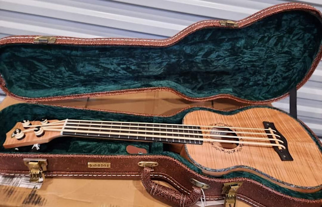 New Tiki Deluxe Paisley Hardcase 4 Bass Ukulele - Instrument Accessories in Mapleton QLD ...