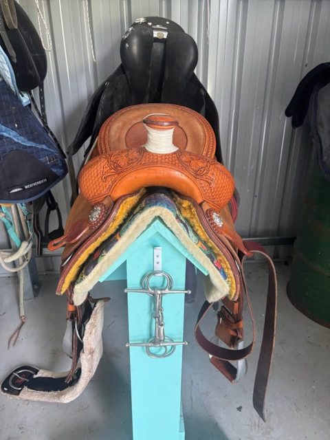 Roughout Roping Saddle | Pet Products | Gumtree Australia Lockyer ...