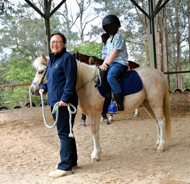 Adorable White Riding Pony | Horses & Ponies | Gumtree Australia Blue ...