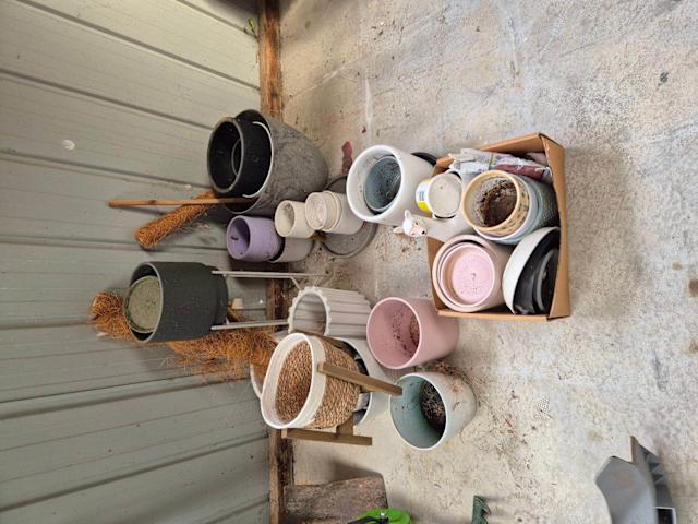 Free Pots - Pots & Garden Beds in Theodore ACT | Gumtree Australia