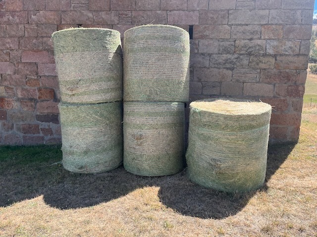 Grass hay in 4x4 round bales | Pet Products | Gumtree Australia Sorell ...