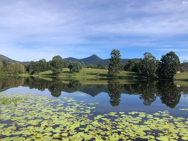 Live Onsite rural property Helper | Other | Gumtree Australia Pine ...