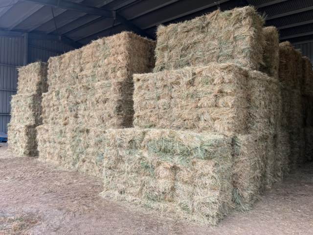 Meadow Hay 21 small bales per pack | Pet Products | Gumtree Australia ...