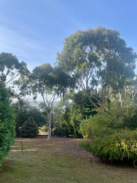 Studio apartment - for Rent | Gumtree Australia