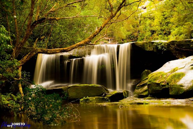 Photographer | Photography & Video | Gumtree Australia New South Wales ...