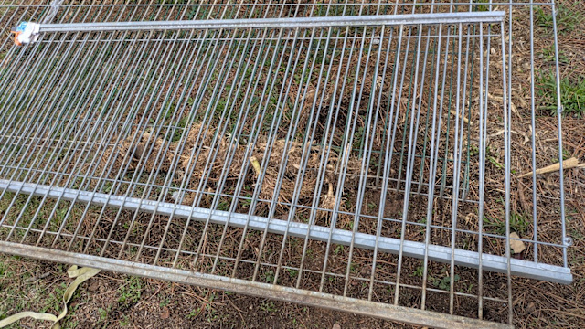 galvanised Pool fencing - Pool in Yarralumla ACT | Gumtree Australia