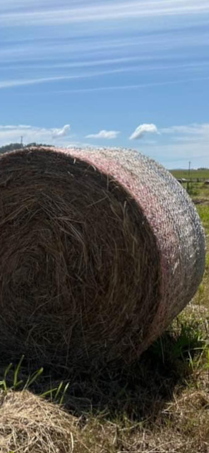 Hay bales round hay bales | Pet Products | Gumtree Australia Mitchell ...