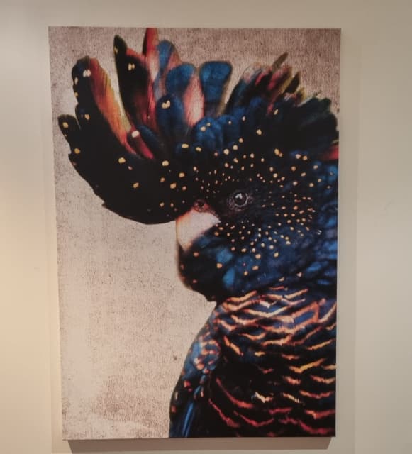 Bright colourful canvas approx 1m height | Art | Gumtree Australia ...