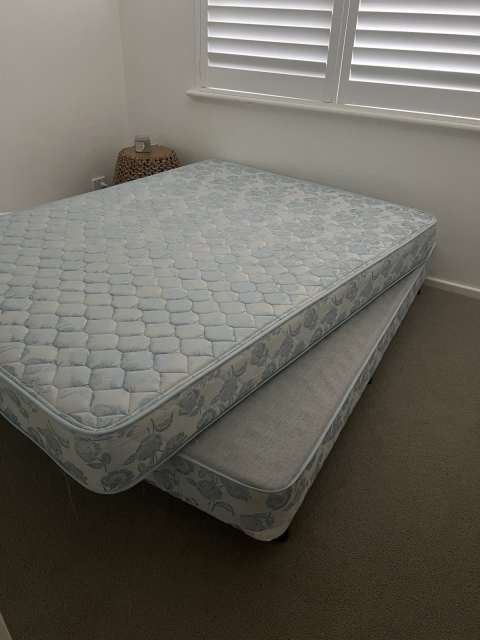 Slumber king limited edition orthopaedic Queen bed ensemble - Beds in ...