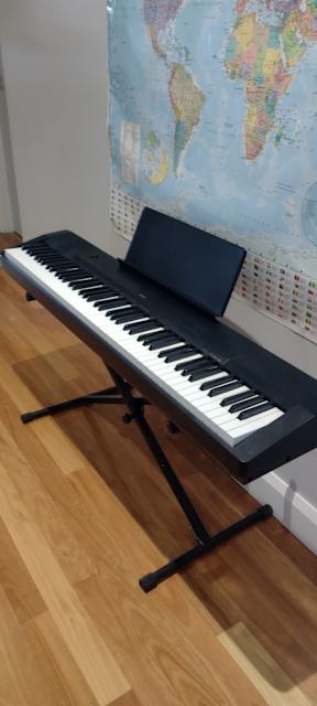 Casio CDP 120 Digital Piano - Keyboards & Pianos in Wentworth Falls NSW ...