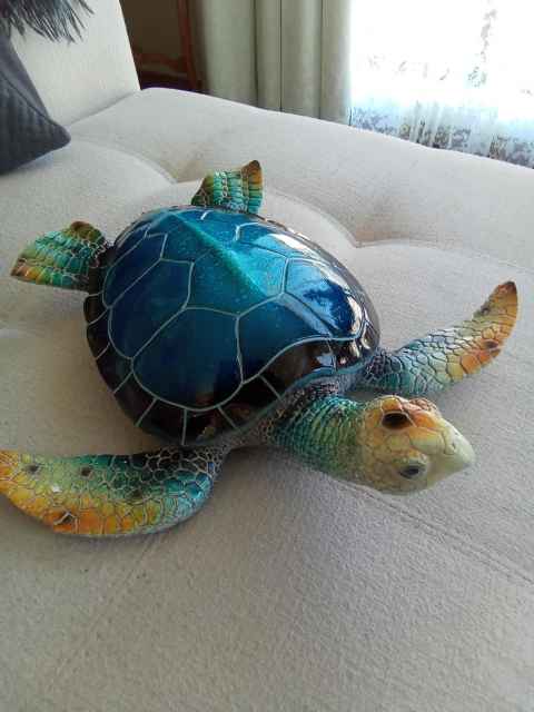 Turtle large - Miscellaneous Goods in East Devonport TAS | Gumtree ...