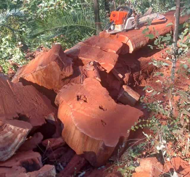 JARRAH FIREWOOD - Other Home & Garden in Kelmscott WA | Gumtree Australia