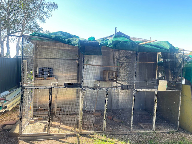 BIRD AVIARY 3 bay | Birds | Gumtree Australia Penrith Area - Penrith ...
