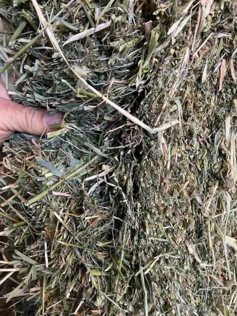 Small square hay bales - many grades available | Pet Products | Gumtree ...
