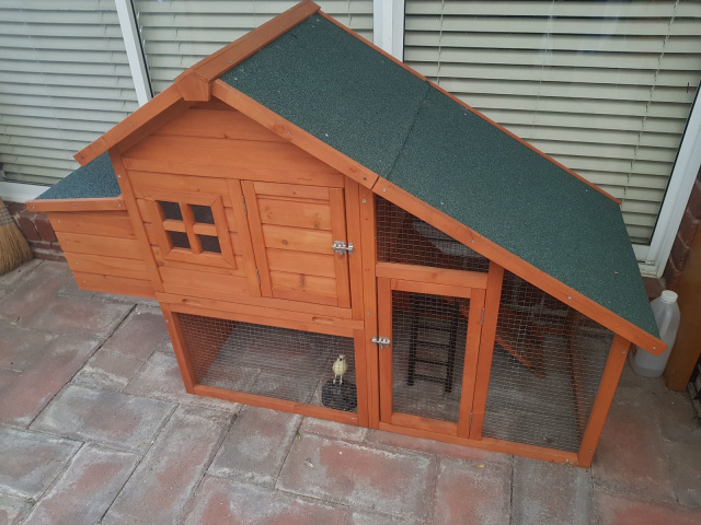 Animal house - Chickens, Guinea pigs, rabbits, etc | Pet Products ...