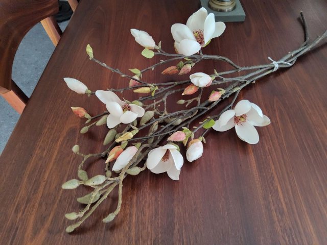 Artificial Magnolia Flowers - Decorative Accessories in Theodore ACT ...