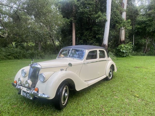 1951 Riley RMA 1 1/2 litre | Cars, Vans & Utes | Gumtree Australia Pine ...