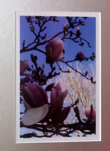 LUCAS CRABTREE Spring Digital Print on Metallic Paper STUNNING PIECE ...