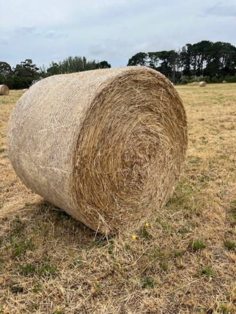 Boneo Round Hay Bales | Pet Products | Gumtree Australia Mornington ...