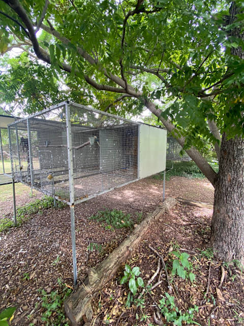 2 bay suspended aviary | Pet Products | Gumtree Australia Brisbane ...