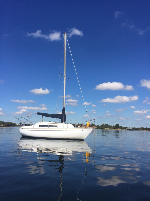 Triton 24 Fibreglass yacht | Sail Boats | Gumtree Australia Canada Bay ...