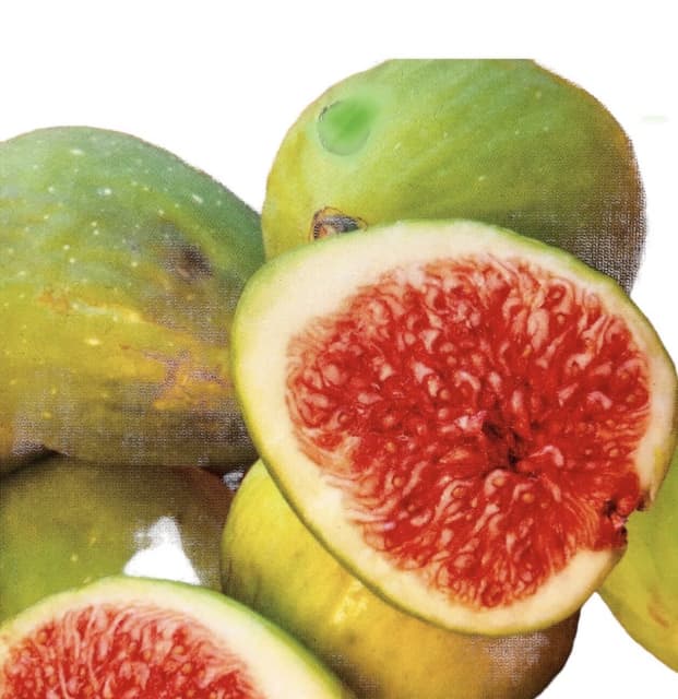 Fig - White Genoa tree, about 1m tall, ready to fruit, $90 | Plants ...