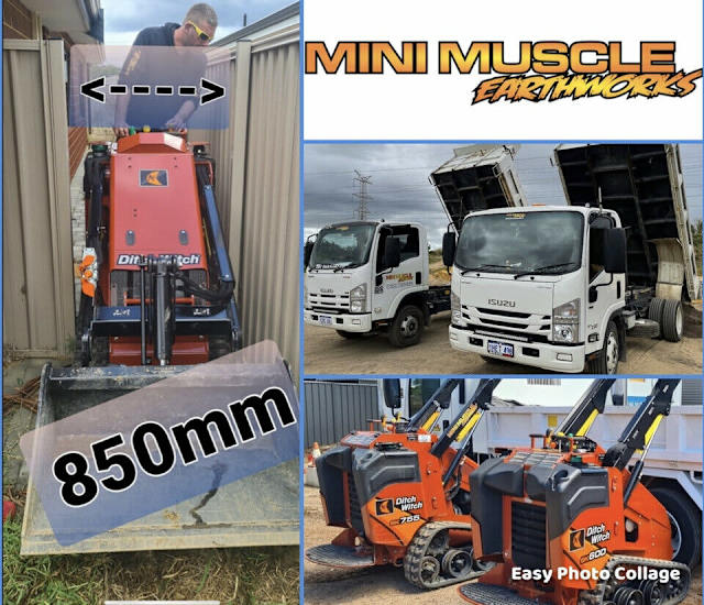 MINI BOBCAT / DINGO WITH OPERATOR - grass and sand removal ...