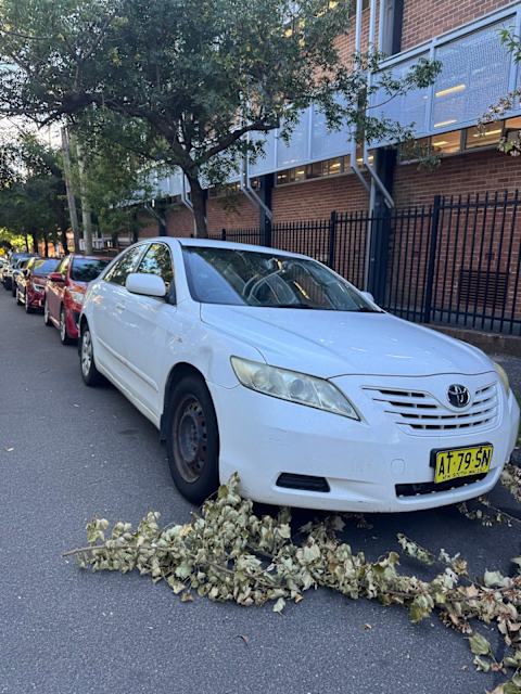 2008 TOYOTA CAMRY ALTISE 5 SP AUTOMATIC 4D SEDAN | Cars, Vans & Utes ...