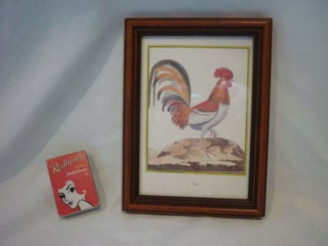 Small Solid Wood, Wooden Framed Picture of a ROOSTER, Chicken, Chook ...