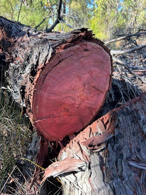 FIREWOOD DRY SPLIT JARRAH $300 Dilivers all Perth hills - Other Home ...