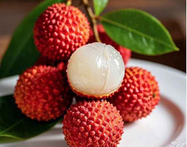Healthy grafted lychee tree in a pot and now full of flowers for sale ...