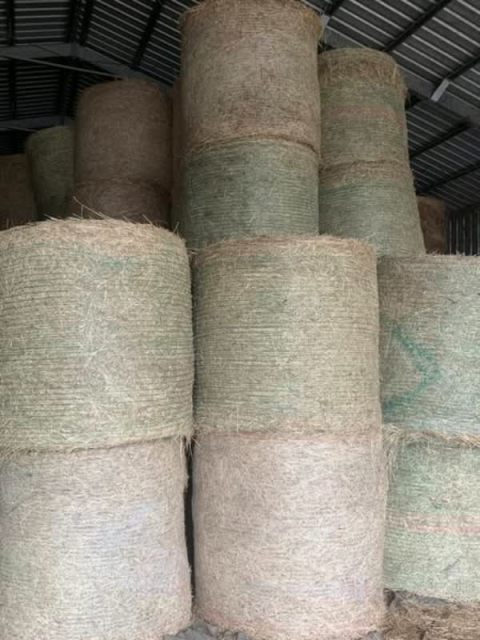 Hay - 4x4 Round Bales - Miscellaneous Goods in Goomeri QLD | Gumtree ...