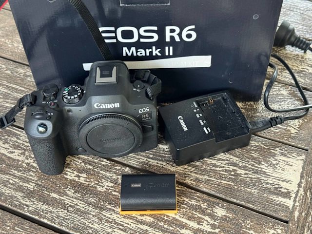 Canon R6 Mark 2 Camera Body - Digital SLR in Mooloolaba QLD | Gumtree ...