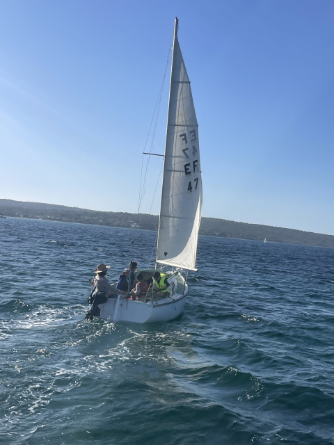 MB 21 built by MB yachts, similar to SS22 | Sail Boats | Gumtree ...