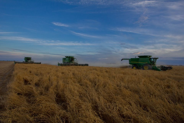 Nanny & Farmhouse Helper/Gardener | Nanny & Babysitter | Gumtree ...