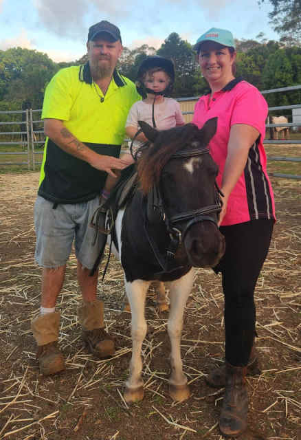 registered Shetland mare perfect led line | Horses & Ponies | Gumtree ...