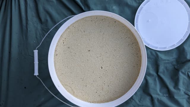 Prickly Box Honey - filtered, cold extracted, 20 litre bucket ...