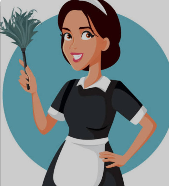 cleaner/ maid | Cleaner & Housekeeper | Gumtree Australia Hobart City ...