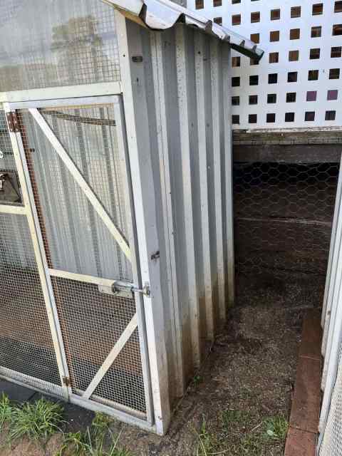 Bird avery | Birds | Gumtree Australia Campbelltown Area - Eagle Vale ...