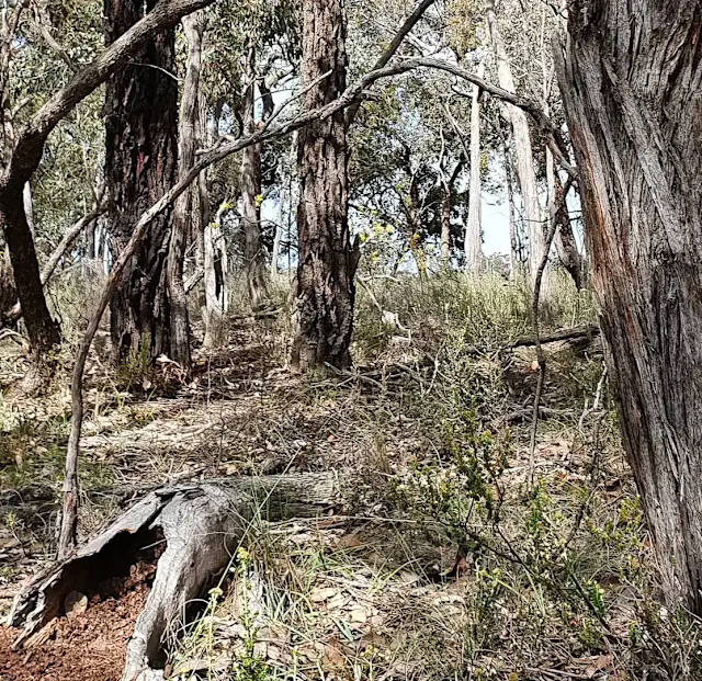 Dalyenong Road, Stuart Mill, Victoria 3477 - for Sale | Gumtree Australia