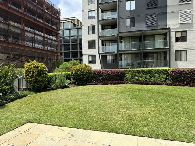 Gardener Required | Gardening & Landscaping | Gumtree Australia Eastern ...