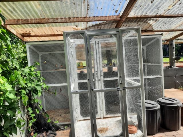 Backyard aviary made to measure | Birds | Gumtree Australia Fraser ...