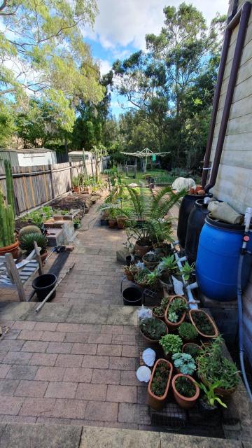 Trainee Helper, Gardening, Landscaping, , Cleaning & Repairs ...