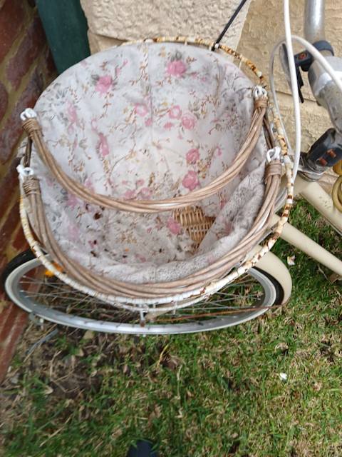 Bike needs some tender maintenance 5 years old - Women's Bicycles in ...