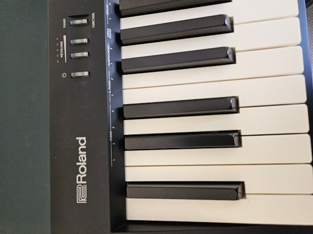 Roland FP-10 Keyboard/Digital Piano - Keyboards & Pianos in Eglinton WA ...