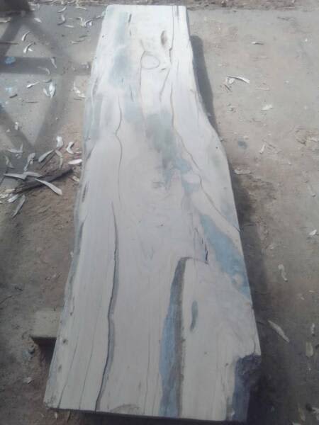 Tuart timber slab bench/bartop - Building Materials in Lake Clifton WA ...