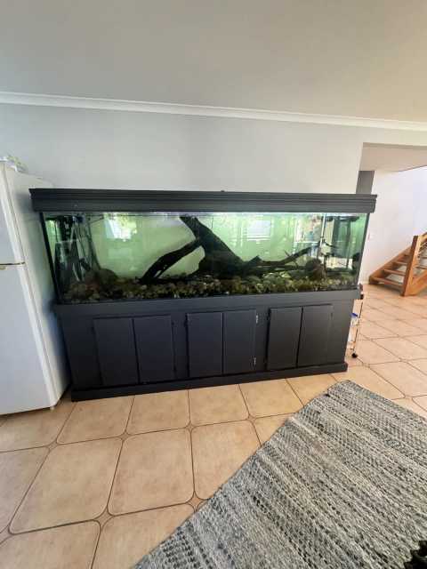 8ft fish tank with fish and complete setup | Pet Products | Gumtree ...
