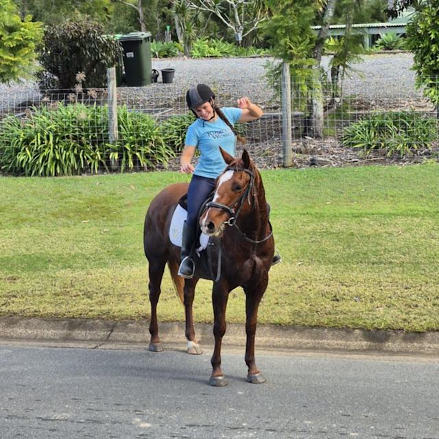 Kind and fun Quarter Horse gelding | Horses & Ponies | Gumtree ...