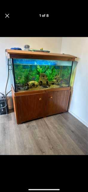 Aquarium fish tank 400L | Fish | Gumtree Australia Gold Coast City ...